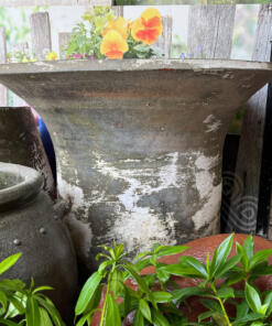 Thai Limestone Pots | Wentworth Falls Pots